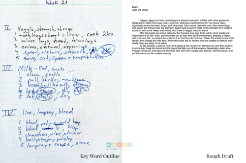 An IEW Structure And Style For Students Review - From Doubt To ...