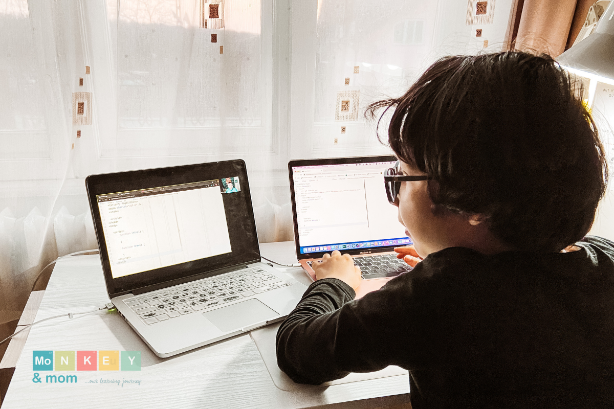 Programming Skills With MYTEK LAB Online Classes - Monkey And Mom