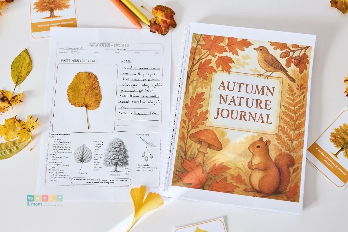 Deciduous Trees For Kids: Nature Study Printable