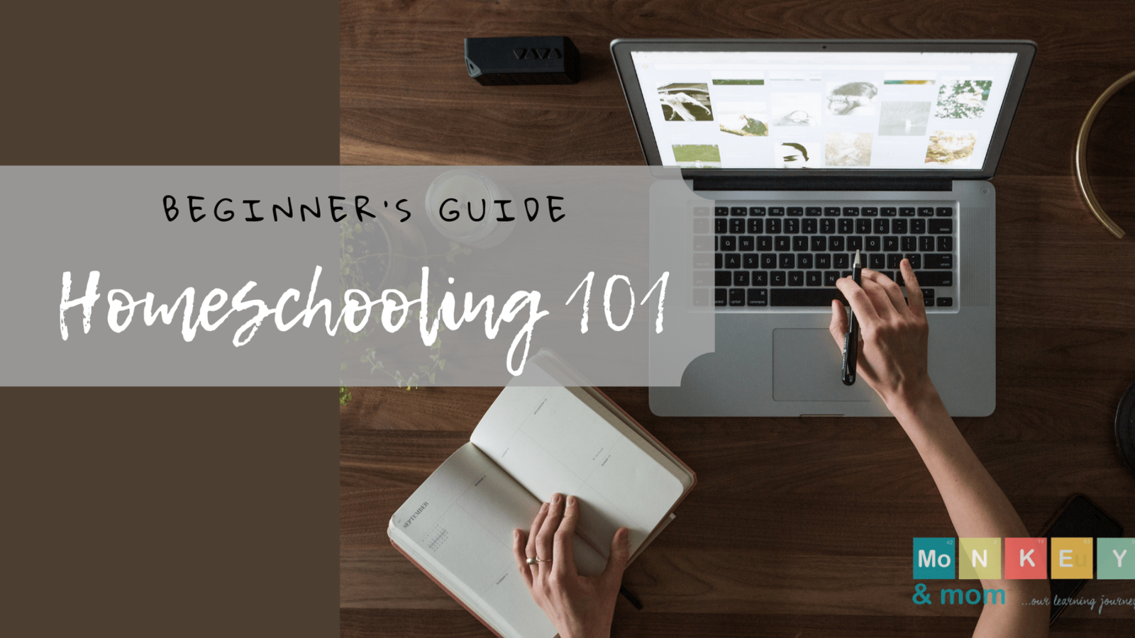 Homeschooling 101- beginner guide