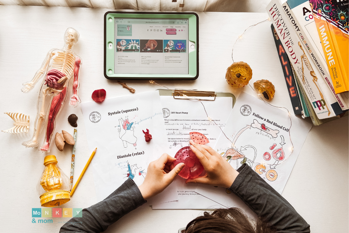 Homeschool Anatomy Curriculum- Dr Robin's School Review - Monkey And Mom