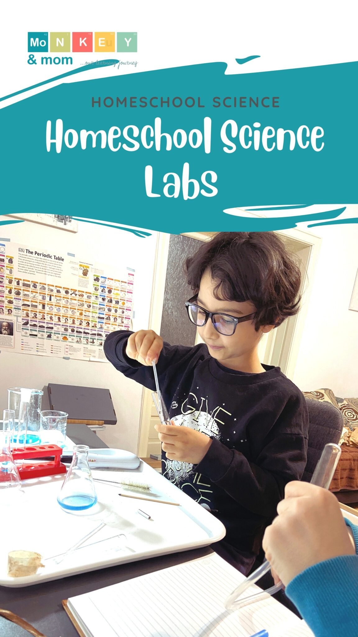Homeschool Science Labs - Online Or Offline » Monkey And Mom