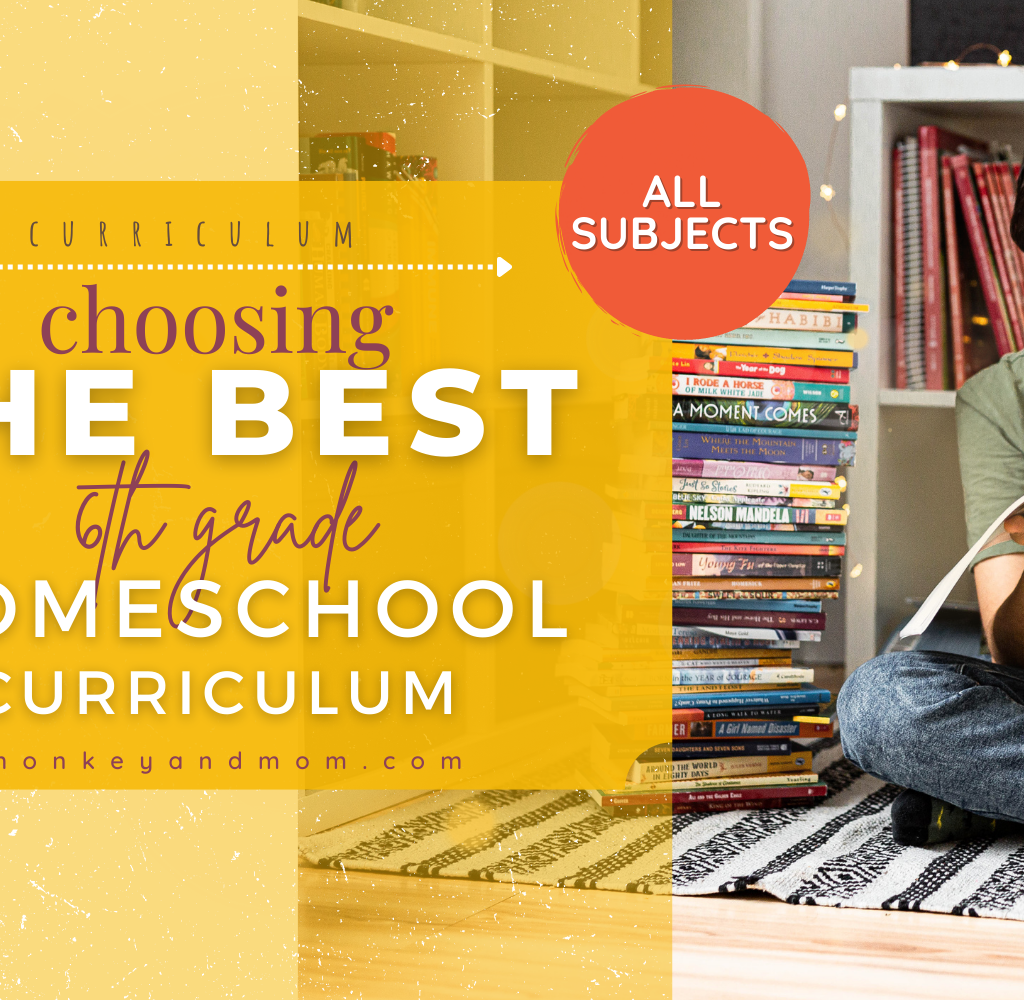 How To Choose The Best 6th Grade Homeschool Curriculum Eclectic