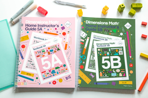 Unlocking The Secrets Of Singapore Math: Beyond Rote Memorization ...