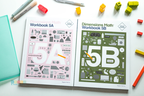 Unlocking The Secrets Of Singapore Math: Beyond Rote Memorization ...