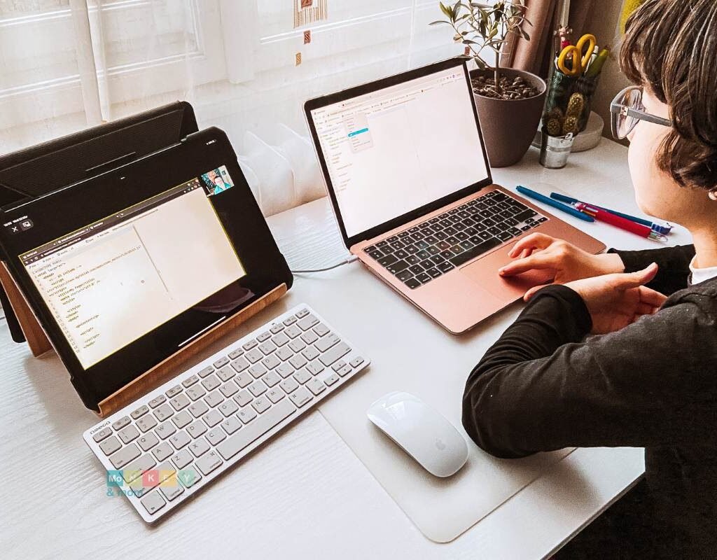 Homeschooling 101 - The Homeschooling Beginner Guide - Monkey And Mom